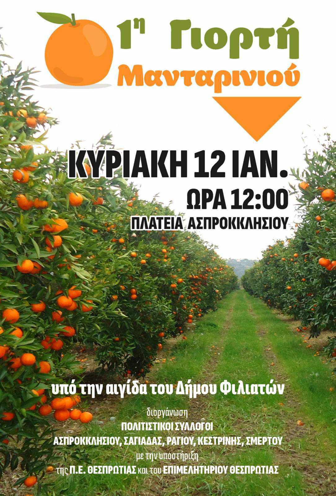 1η Γιορτή Μανταρινιού - Δήμος Φιλιατών
